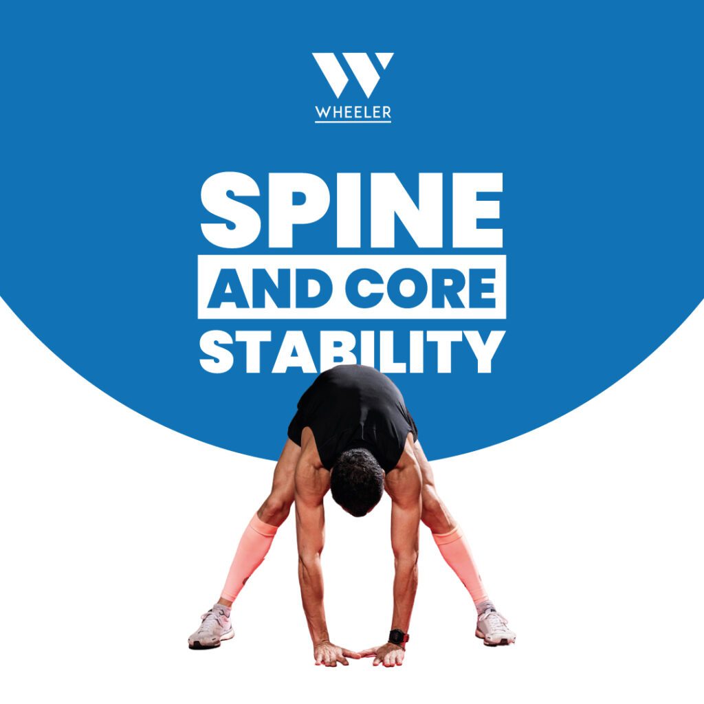 Spine and Core Stability - Wheeler Sports Tech